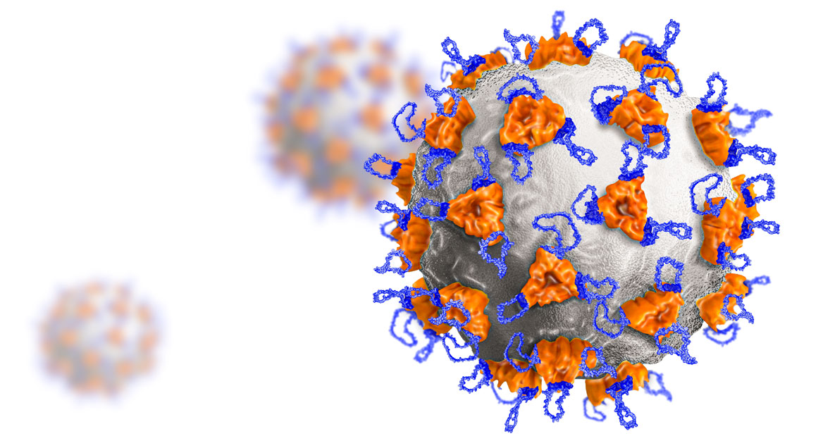 Partner with Us - Solid Biosciences